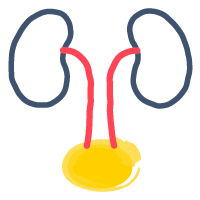 Urinary Tract Infection (UTI) Treatment icon